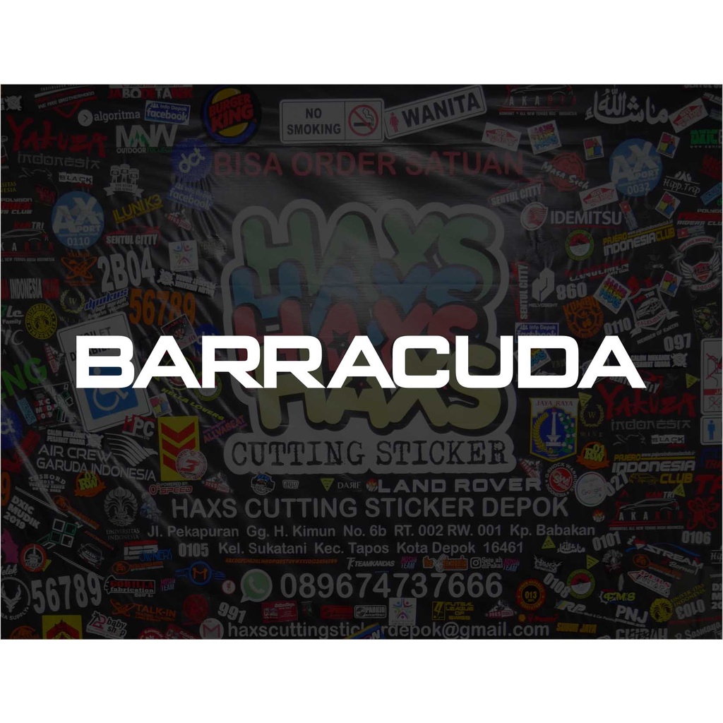 Jual Cutting Sticker Barracuda Ukuran 35 cm | Shopee Indonesia