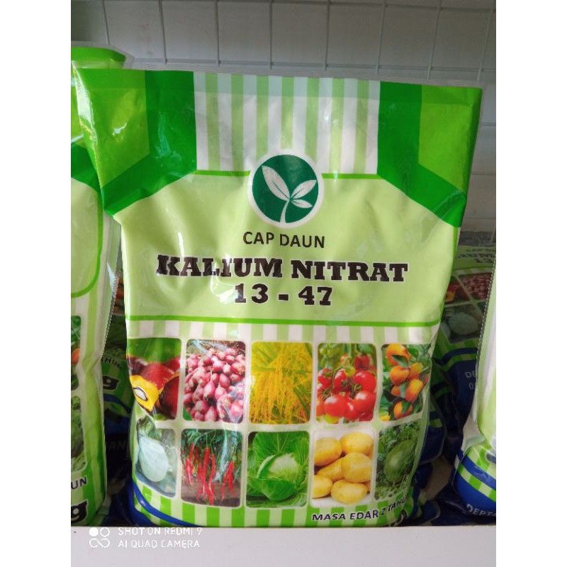 Jual PUPUK KNO3 CAP DAUN 1 KG origin jordan | Shopee Indonesia