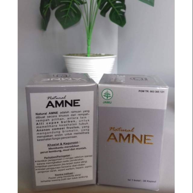 Jual NATURAL AMNE Original NASA (penggemuk badan secara alami) | Shopee ...