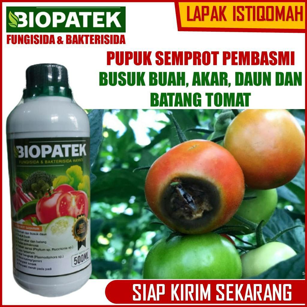 Jual Pupuk Semprot Buah Tomat Paling Bagus BIOPATEK isi 500 ML ...