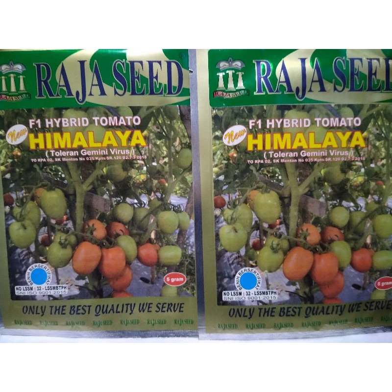 Jual Bibit benih tomat F1 HIBRYD TOMATO HIMALAYA isi 1750 butir ...
