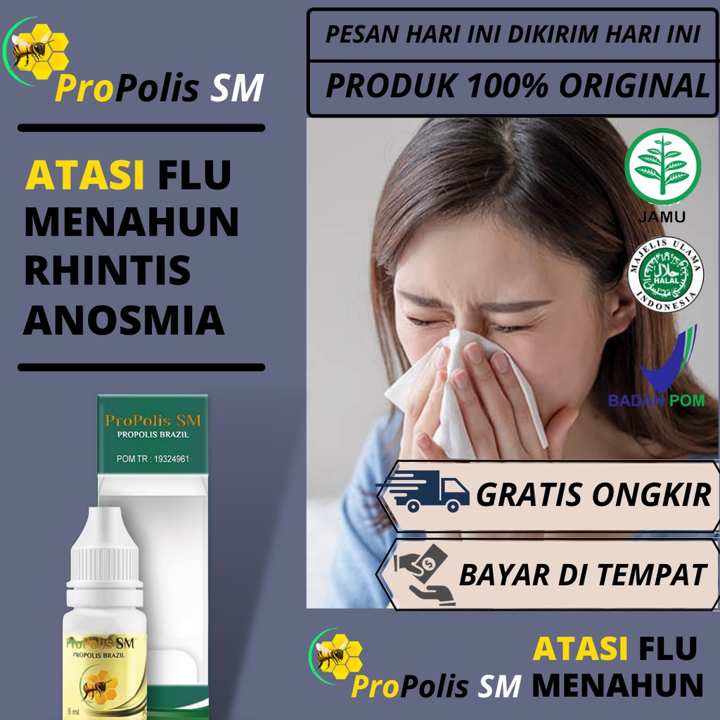 Jual Obat Flu Menahun, Anosmia / Hilang Indra Penciuman, Sinusistis ...