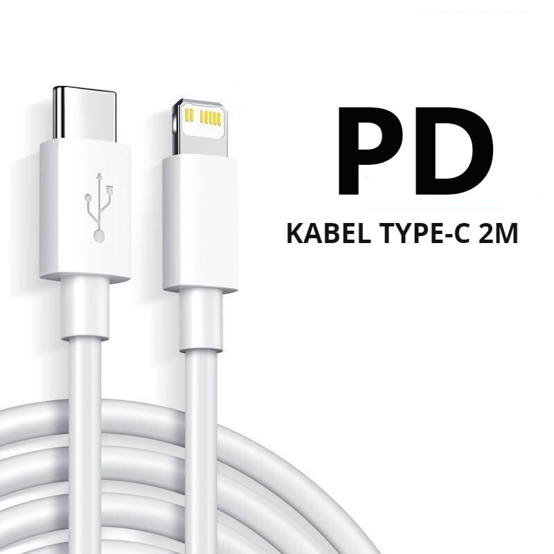 Jual ADAPTOR PD iPh 20 Watt FAST CHARGING USB-C TO LIGHTNING / CHARGER ...