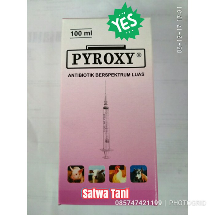 Jual PYROXY (ANTIBIOTIK MODERN DARI PYRIDAM) | Shopee Indonesia