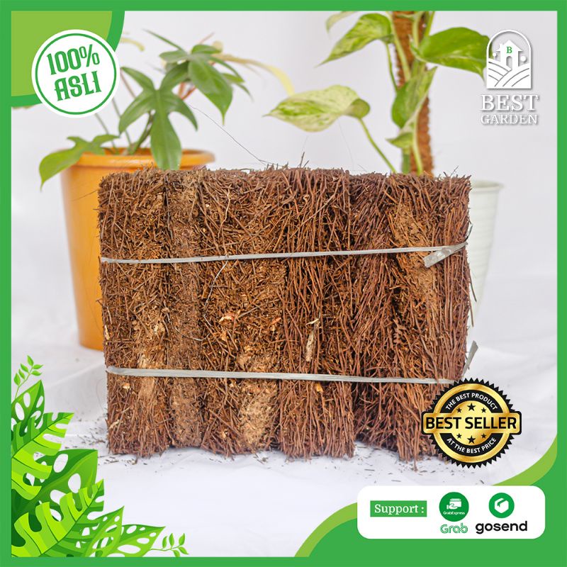 Jual Akar pakis media tanam anggrek ( 1 ikat 10 lempeng) | Shopee Indonesia