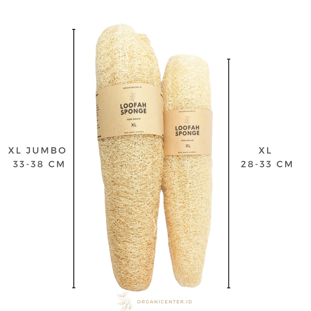 Jual Loofah Sponge XL / Spons Loofah Natural Alami / Spons Sabut Cuci ...
