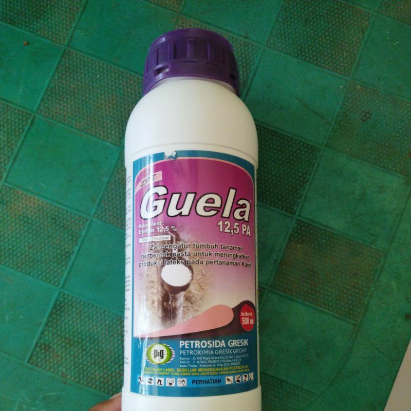Jual GUELA 12,5 PA | Shopee Indonesia
