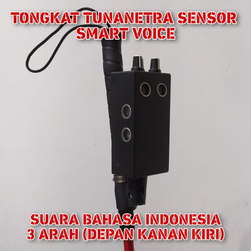 Jual Tongkat Tunanetra Sensor Smart Voice Bahasa Indonesia 3 Arah 6 ...