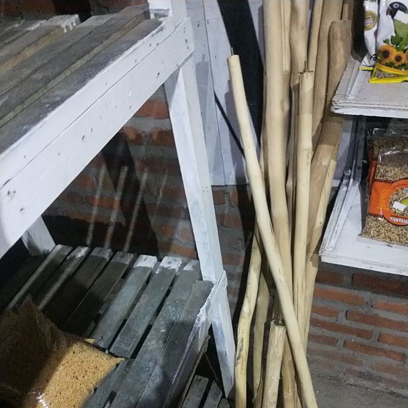 Jual kayu kopi panjang -+120cm | Shopee Indonesia