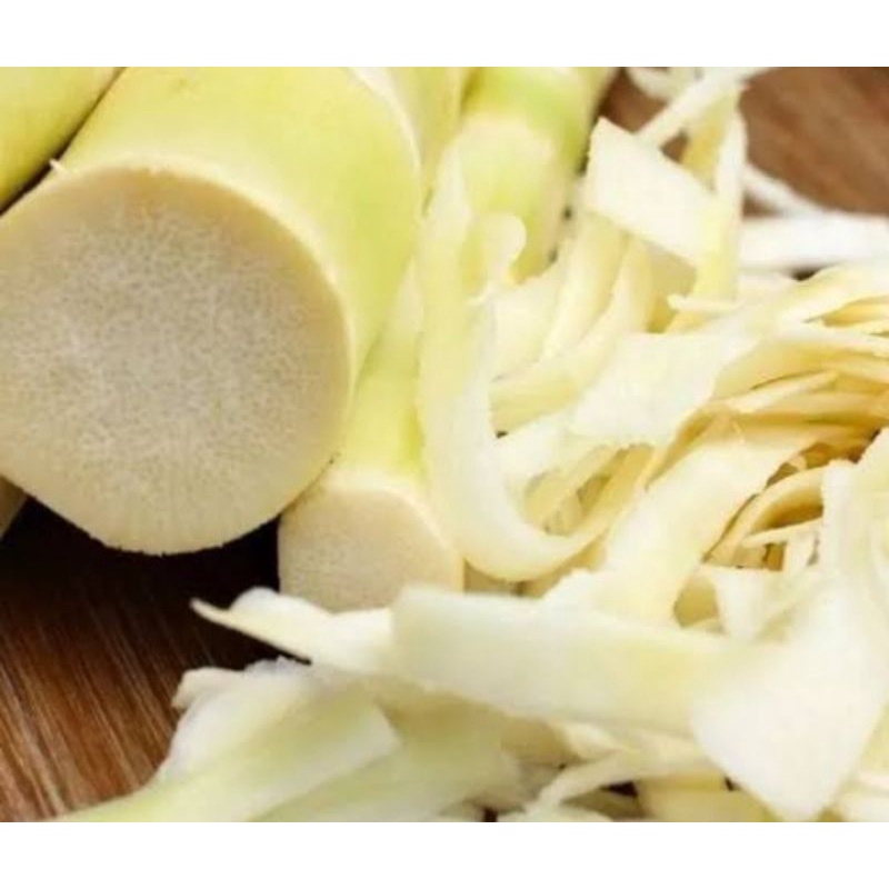 Jual REBUNG BAMBU PER 500 GR SAYUR SEGAR PALEMBANG | Shopee Indonesia