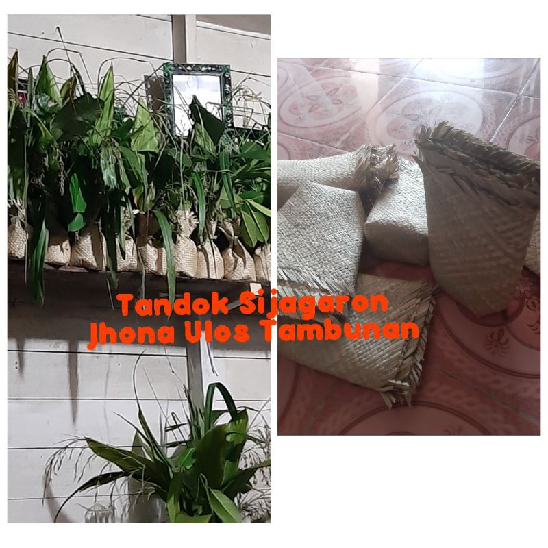 Jual Tandok Pandan Kecil Anyaman Tandok Sijagaron Etnik Toba | Shopee ...
