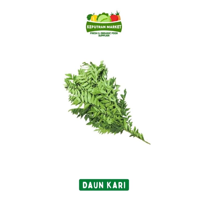 Jual Daun Kari Per Pack / Salam Koja / Produk Langka | Shopee Indonesia