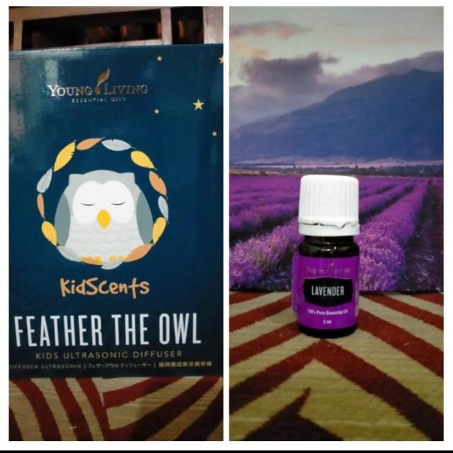 Jual Feather the owl diffuser + lavender 5ml | Shopee Indonesia