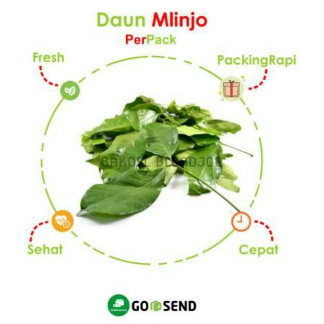 Jual DAUN SOO PER PACK / MLINJO / MELINJO / SAYUR SAYURAN SEGAR / FRESH ...