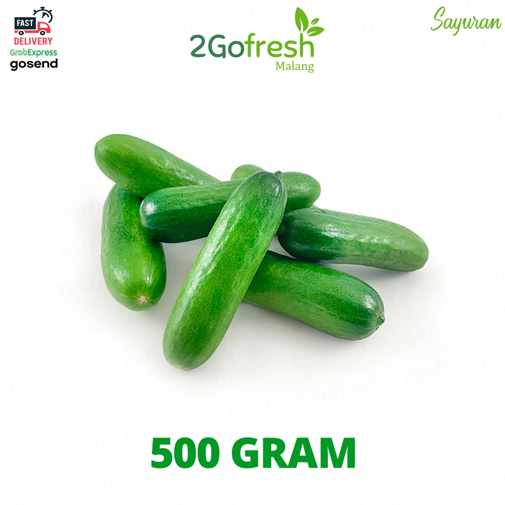 Jual Timun Kecil/ Mentimun Baby Fresh - Sayur Sayuran | Shopee Indonesia