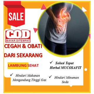 Jual Obat Herbal Asam Lambung Perih Mual Dan Muntah Nyeri Perut Demam ...