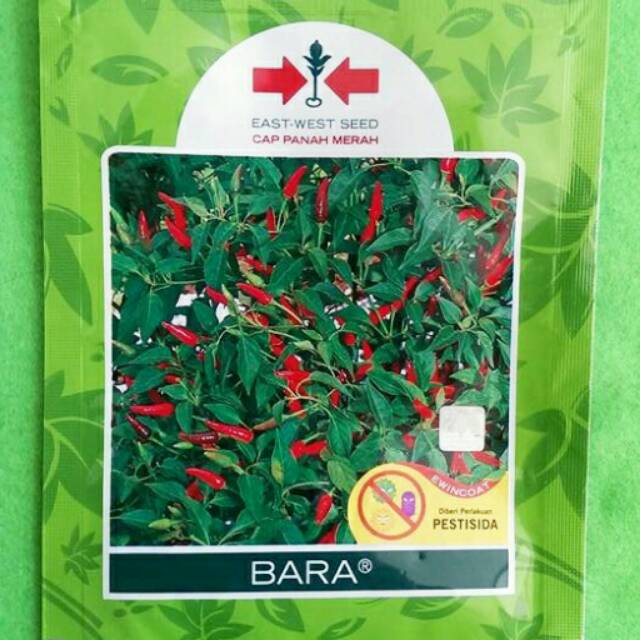 Jual Benih Cabai / Cabe Kecil Rawit Bara Pack 500 Biji | Shopee Indonesia