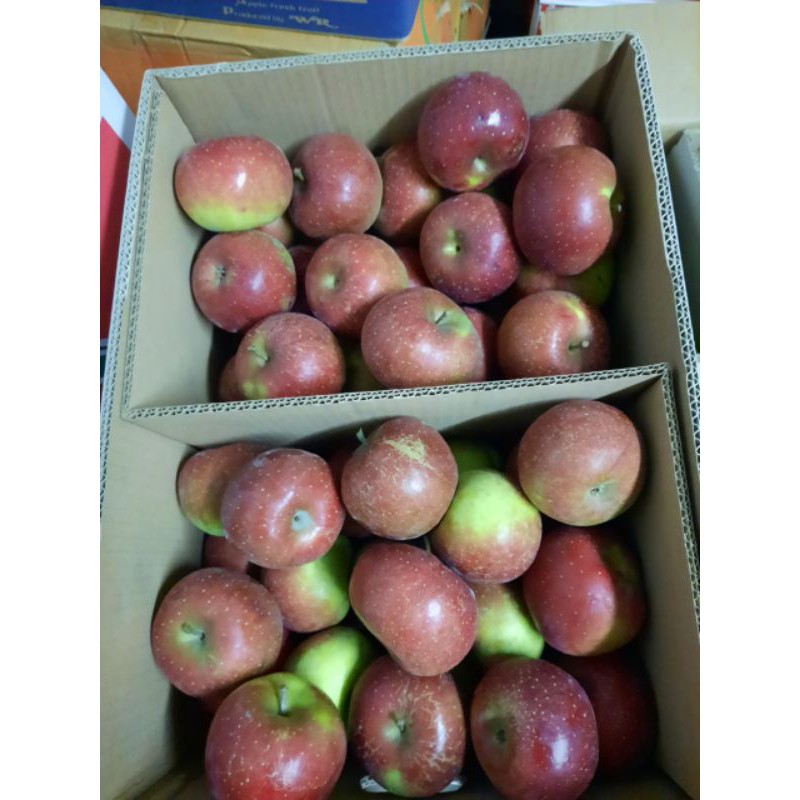 Jual Apel malang Super / 1 kg | Shopee Indonesia