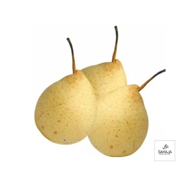 Jual Pear Yalie | Shopee Indonesia