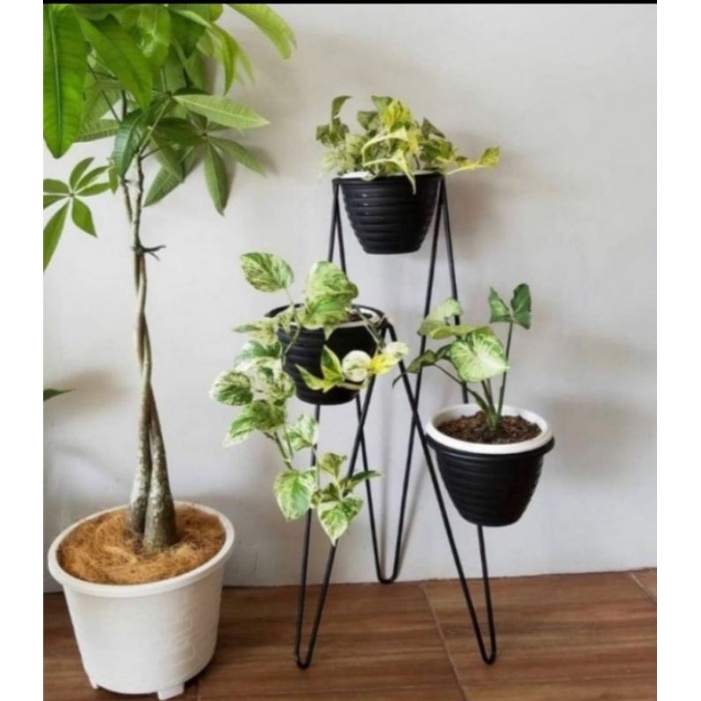 Jual RAK BUNGA / RAK POT / RAK TANAMAN HIAS / RAK BESI | Shopee Indonesia