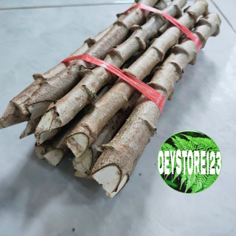 Jual Singkong Per Kg Terlengkap & Harga Terbaru Juni 2026 | Shopee ...
