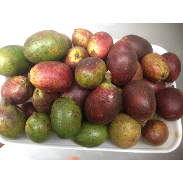 Jual Matoa | Shopee Indonesia