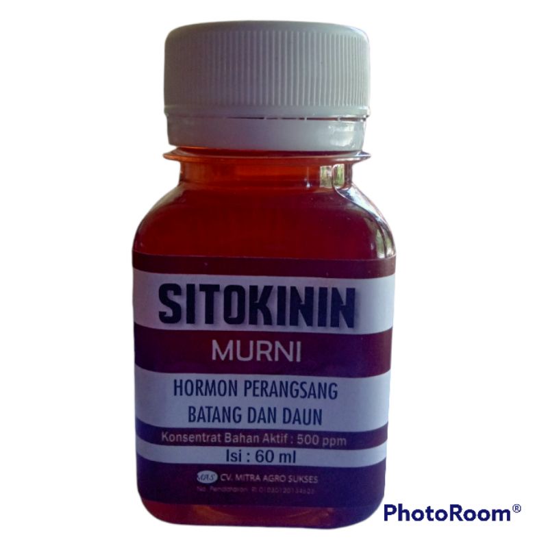 Jual Sitokinin Murni HORMON PERANGSANG BATANG DAN DAUN 60ml | Shopee ...