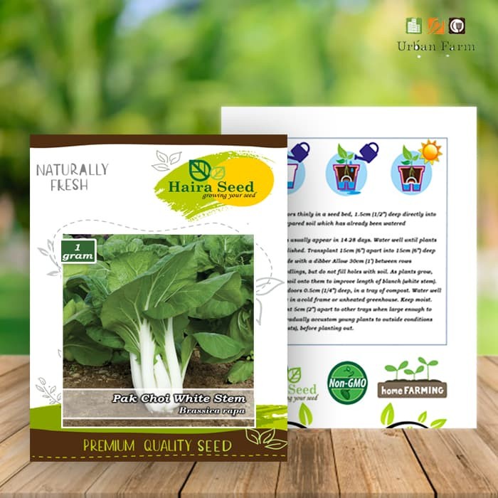 Jual Benih-Bibit Sawi Pakcoy White Steam (Haira Seed) Wisata Agrotani ...