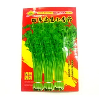 Jual Daun Sop Terlengkap & Harga Terbaru Juni 2024 | Shopee Indonesia