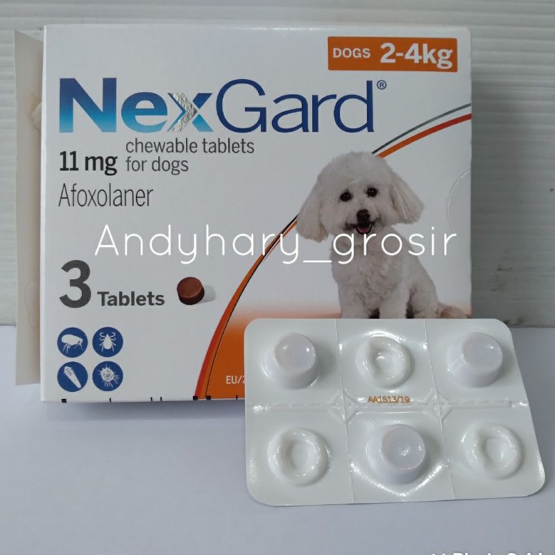 Jual NexGard S ( 2 - 4 Kg ) Obat Kutu Anjing Nex Gard ( Harga Per ...
