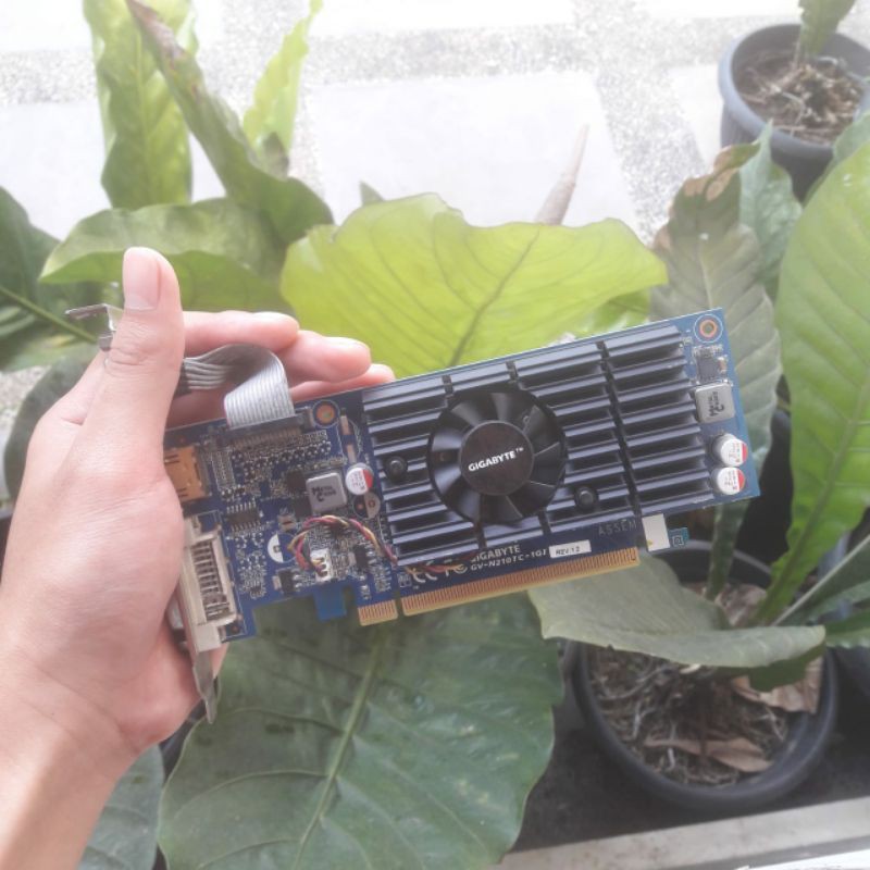 Jual VGA Nvidia Gigabyte Geforce 210 / GT 210 1Gb DDR3 | Shopee Indonesia
