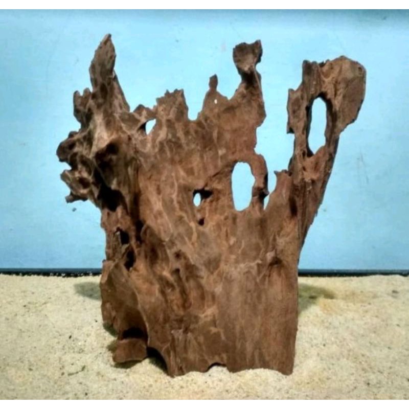 Jual kayu rentek aquascape ukuran s | Shopee Indonesia