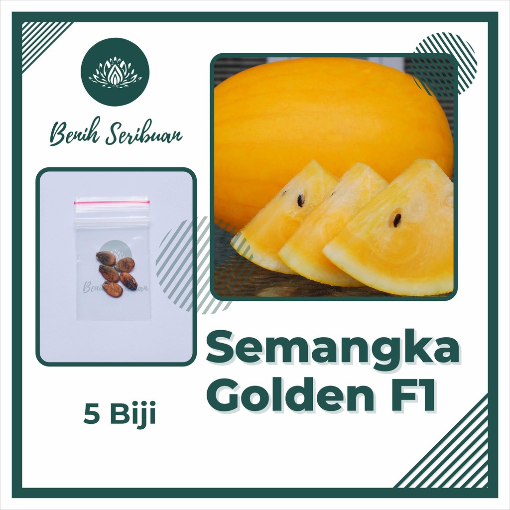 Jual 5 Benih Bibit Semangka Golden Kuning F1 Hibrida Inden Tanaman Buah