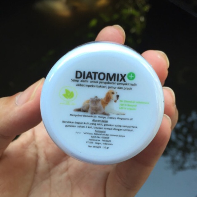 Jual Obat Jamur Ringworm Dan Scabies Pada Kucing & Anjing DIATOMIX ...