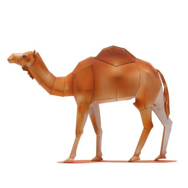 Jual Camel (Male, Walking) papercraft | Shopee Indonesia