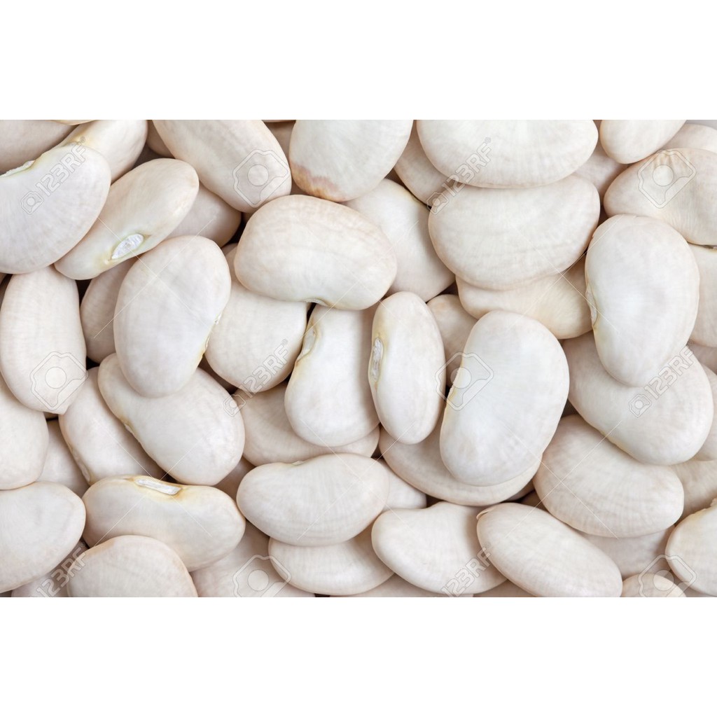 Jual Lima Bean Kacang Lima 100g | Shopee Indonesia