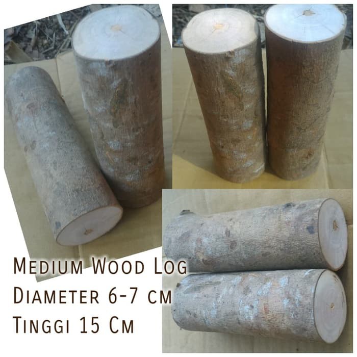 Jual Medium wood log tinggi 15 cm diameter 6-7 cm dekorasi craft diy ...