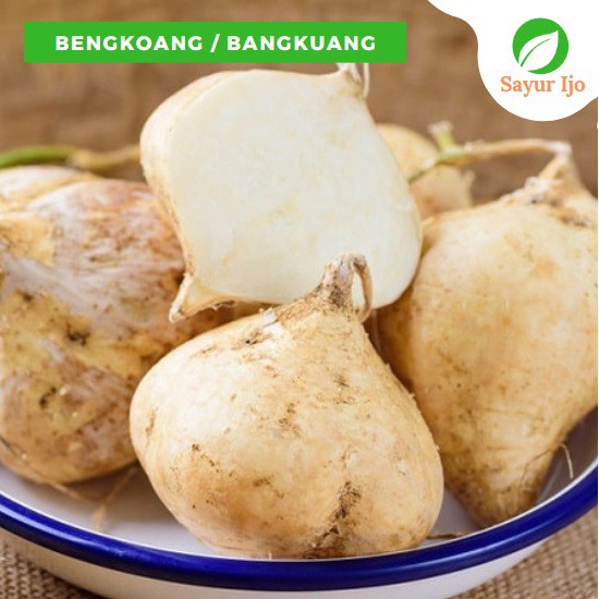 Jual Bengkoang 450 - 500 Gram Fresh Jicama Bangkuang Buah Segar ...