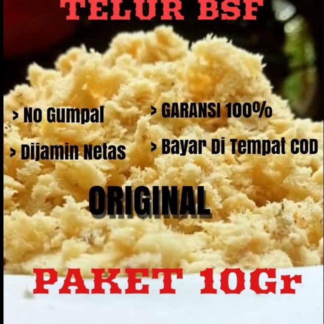 Jual Telur bsf maggot bsf / telur lalat bsf paket 10grm | Shopee Indonesia