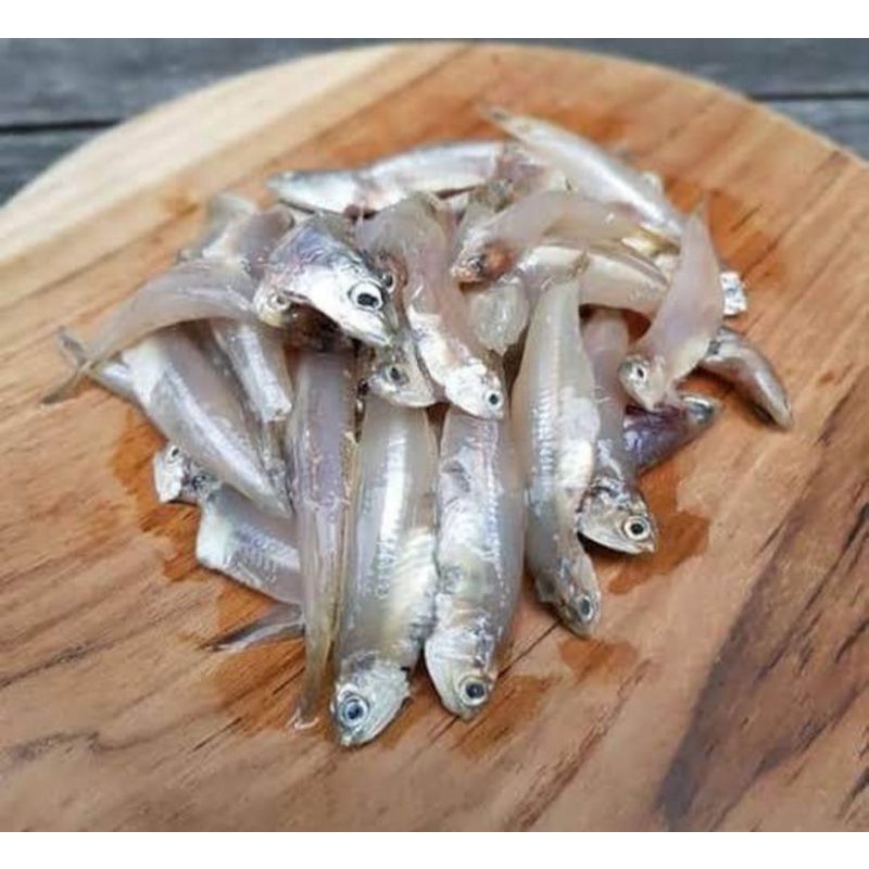 Jual Ikan Teri Basah Segar / Ikan Bilis Segar | Shopee Indonesia