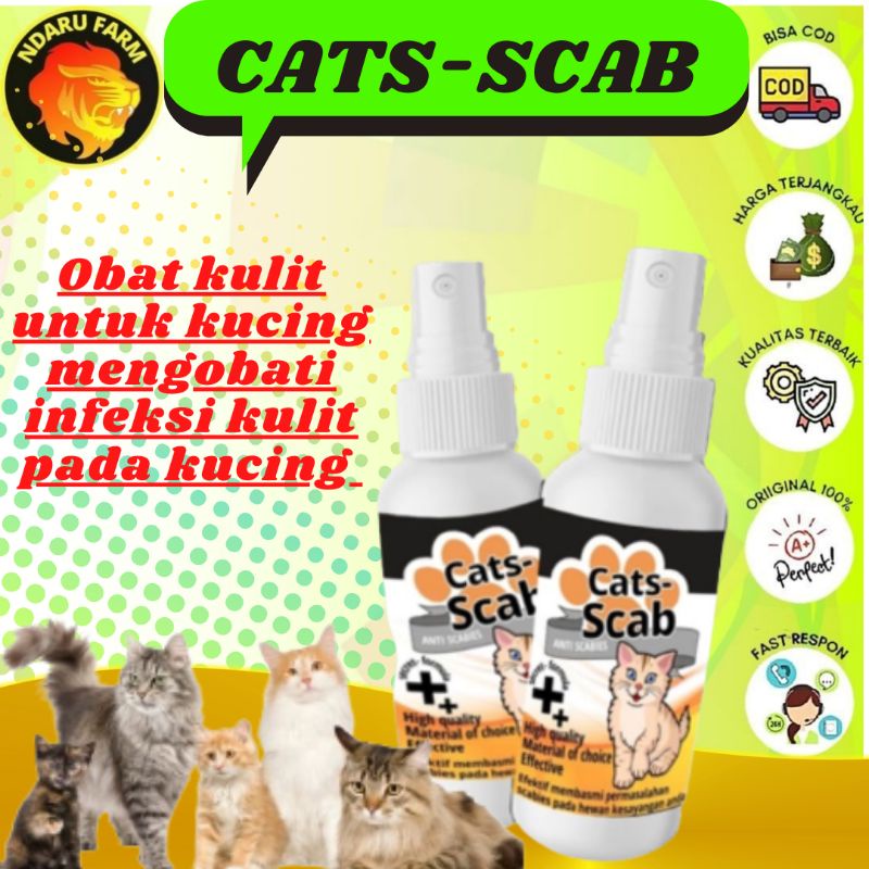 Jual Obat Kulit Kucing Infeksi Scabies Jamur Kudis Mengatasi semua ...