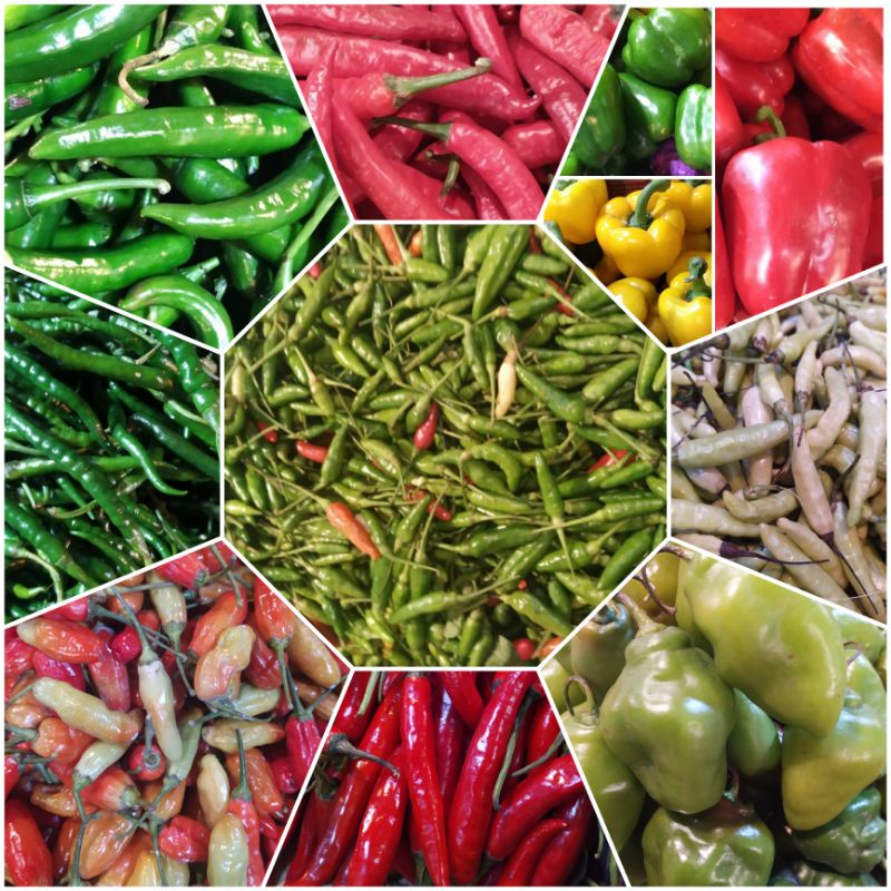 Jual Aneka Cabai 250gr : Rawit Domba Tanjung Kriting TW Gendot Paprika ...