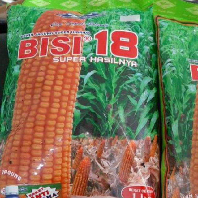 Jual BISI 18 Benih Tanaman Jagung Hibrida - 1 KG | Shopee Indonesia