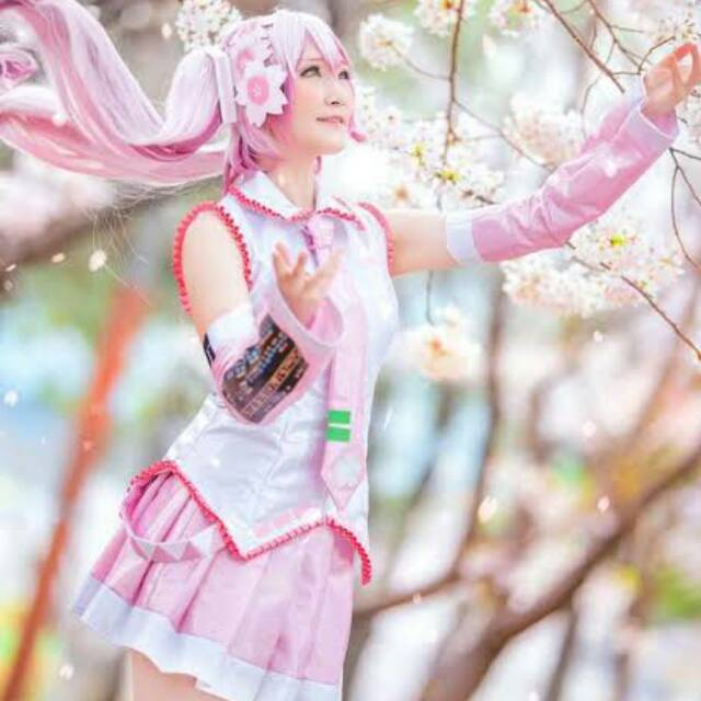 Jual Fullset sakura miku/ hatsune miku/ cosplay miku | Shopee Indonesia