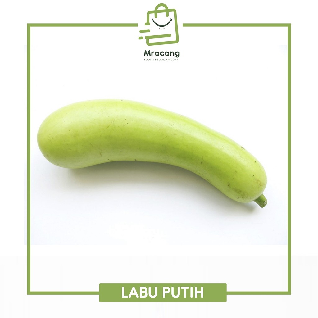 Jual Labu Putih / Sayur sayuran curah | Shopee Indonesia