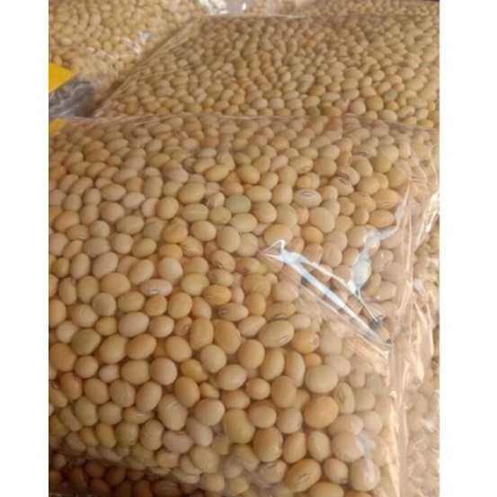 Jual 2kg benih kedelai varietas grobogan unggul | Shopee Indonesia