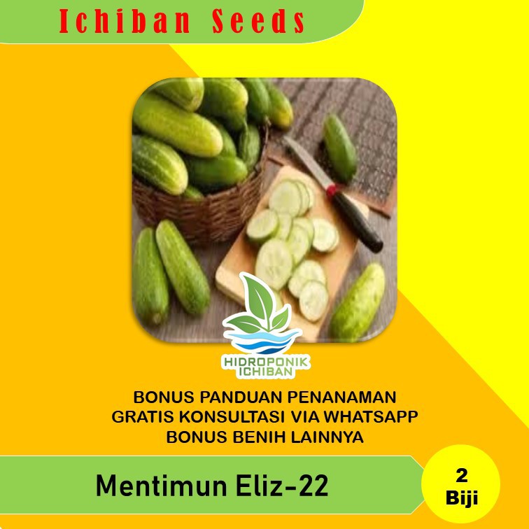 Jual Benih Bibit Biji MENTIMUN TIMUN ELIZ Kemasan Seribuan | Shopee ...