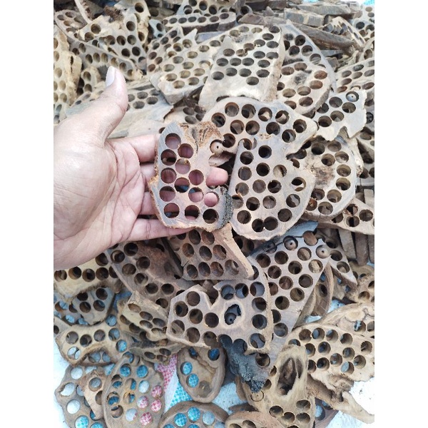 Jual kayu gaharu kayu gaharu asli kalimantan limbah kayu gaharu dupa ...