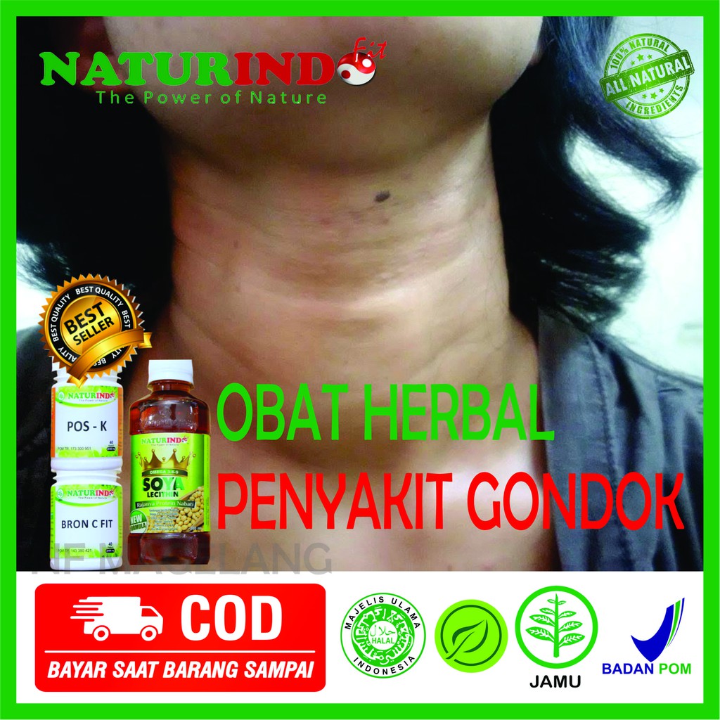 Jual OBAT hormon tiroid mengobati tiroid tiroid jantung mengatasi ...