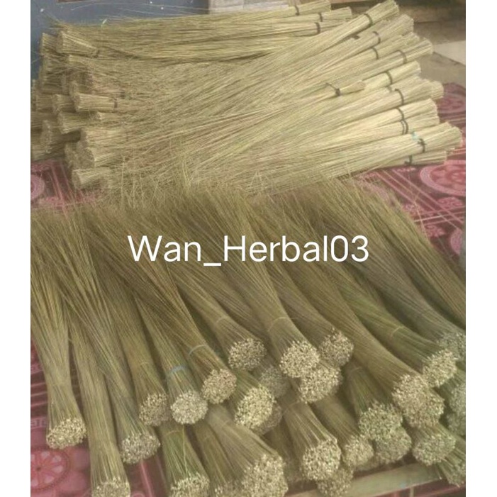 Jual Sapu lidi pohon aren siap pakai 1ikat panjang 50cm | Shopee Indonesia